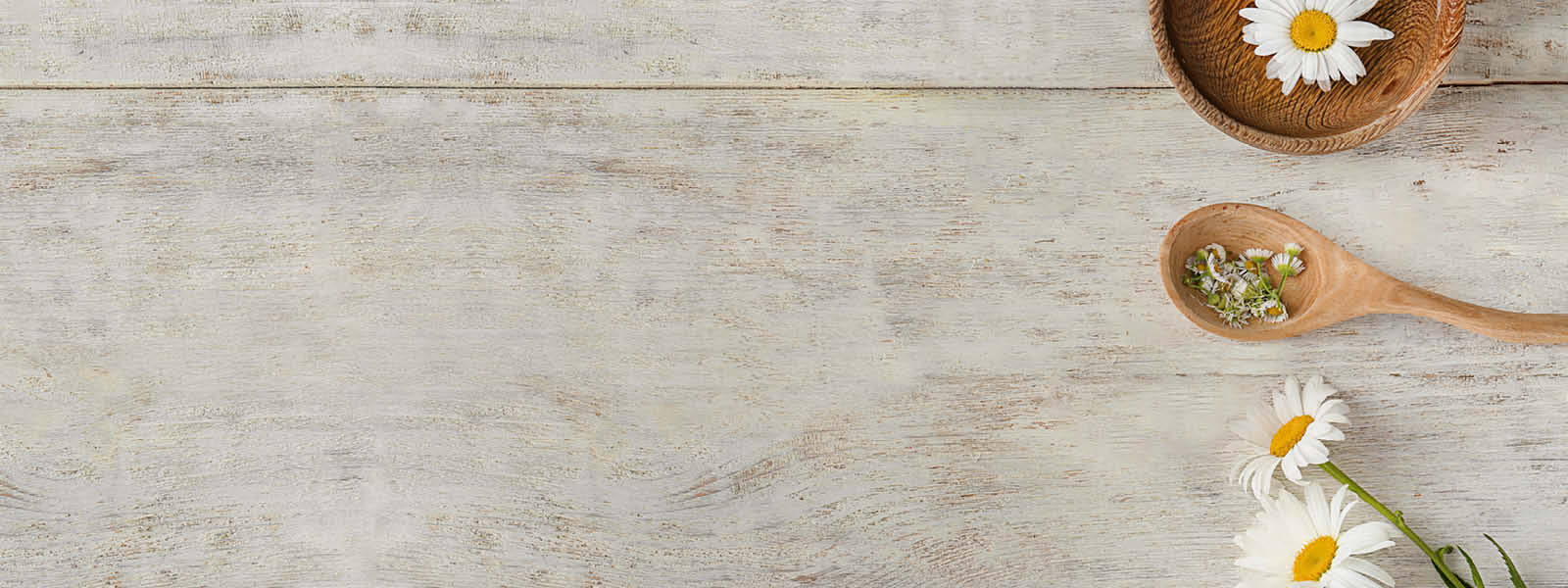 Homöopathie Heilkunst – Stephanie Hutter Heilpraktikerin