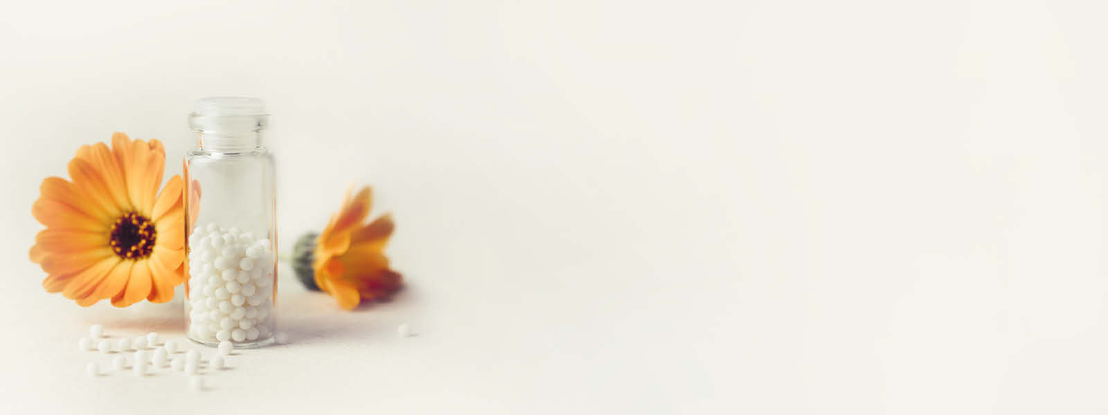 Naturheilkunde als Heilmethode – Stephanie Hutter Heilpraktikerin